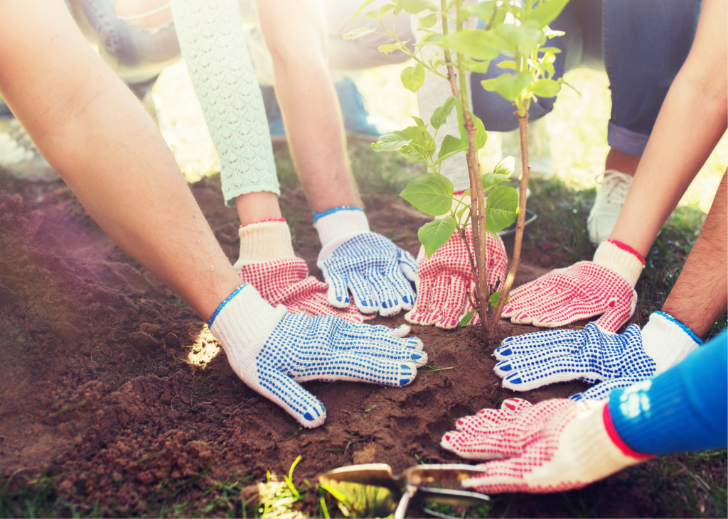 Unlock the Magic: Adding Family Service Project Love to Your Next ...